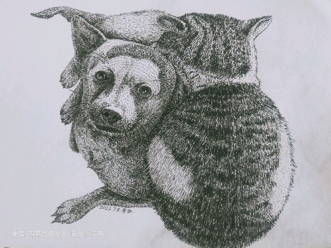 钢笔画＆动物_李如1231-站酷ZCOOL