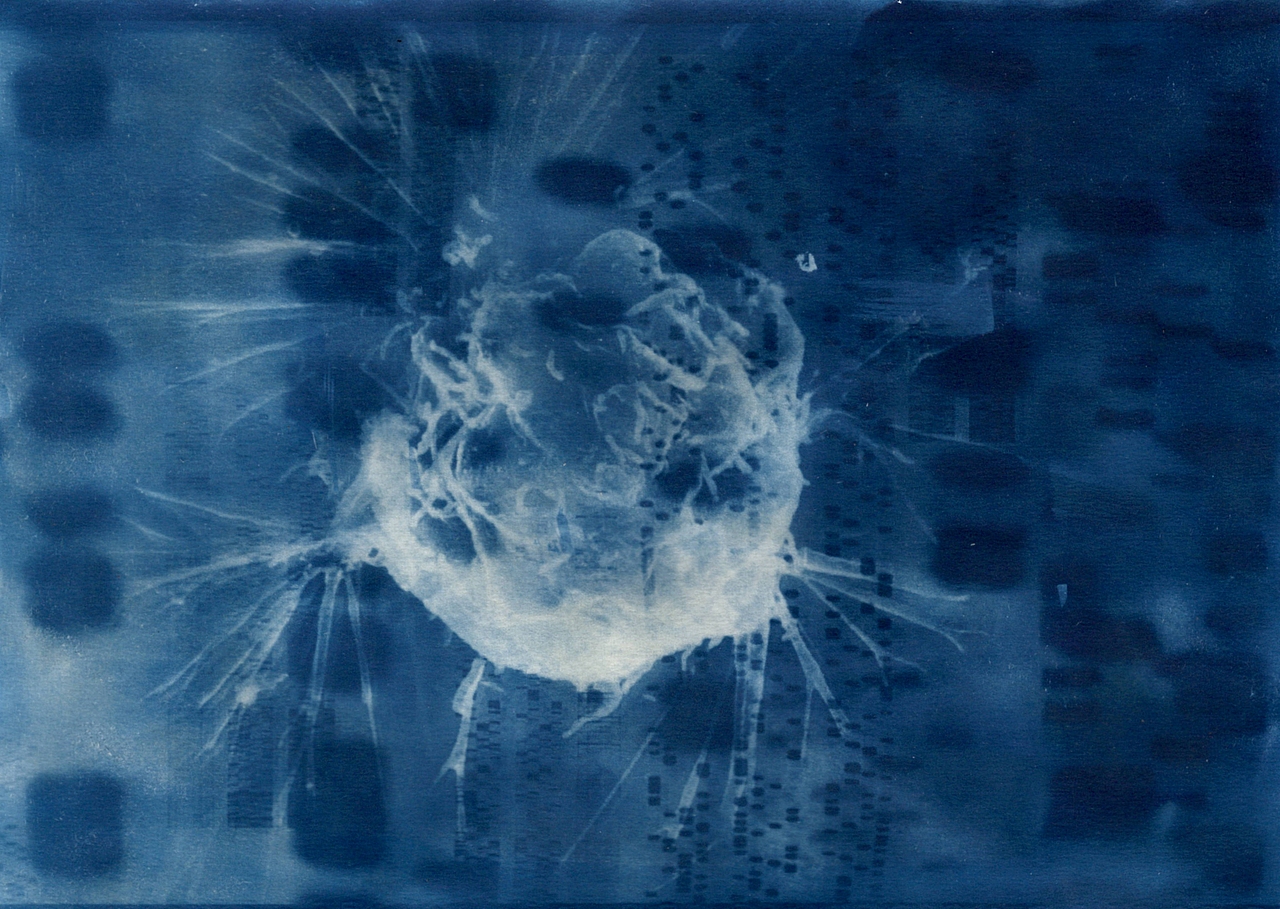 蓝晒Cyanotype - Silk & Cell_campus114-站酷ZCOOL