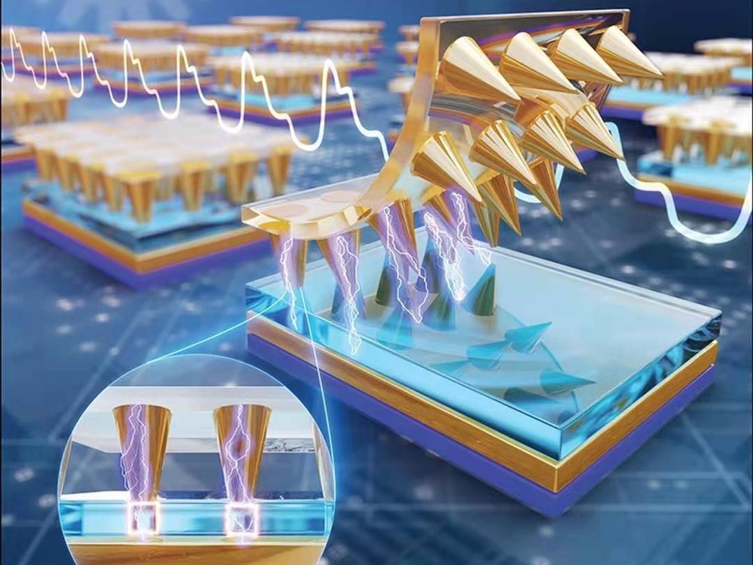 科研绘图SCI画图学术杂志封面设计TOC示意图医学插图_学术期刊封面设计-站酷ZCOOL