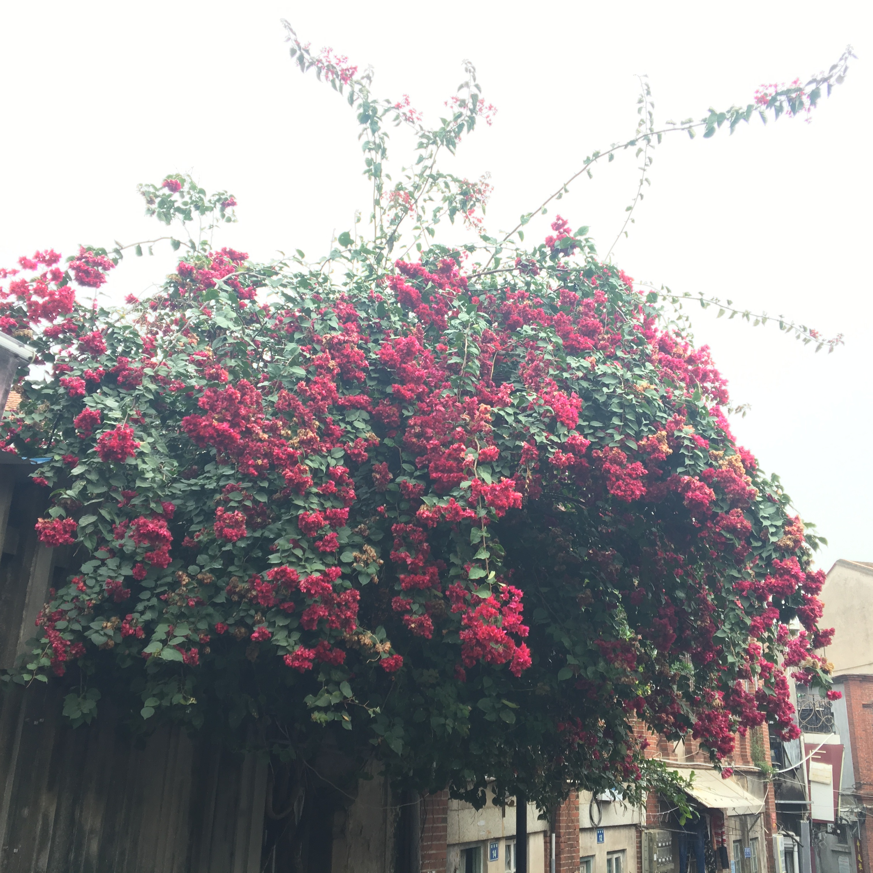 GRACE_WAN创作者主页_嘉兴学生-站酷ZCOOL