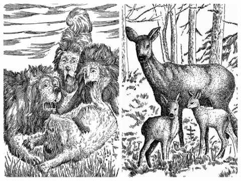 黑鹤动物小说钢笔画插图_清木钢笔画-站酷ZCOOL