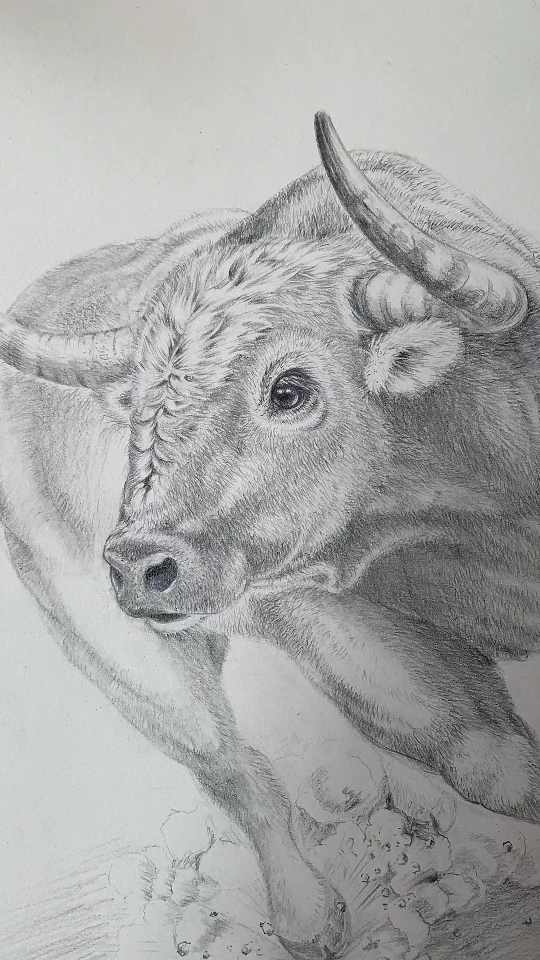 素描牛_通辽李永春绘画-站酷ZCOOL