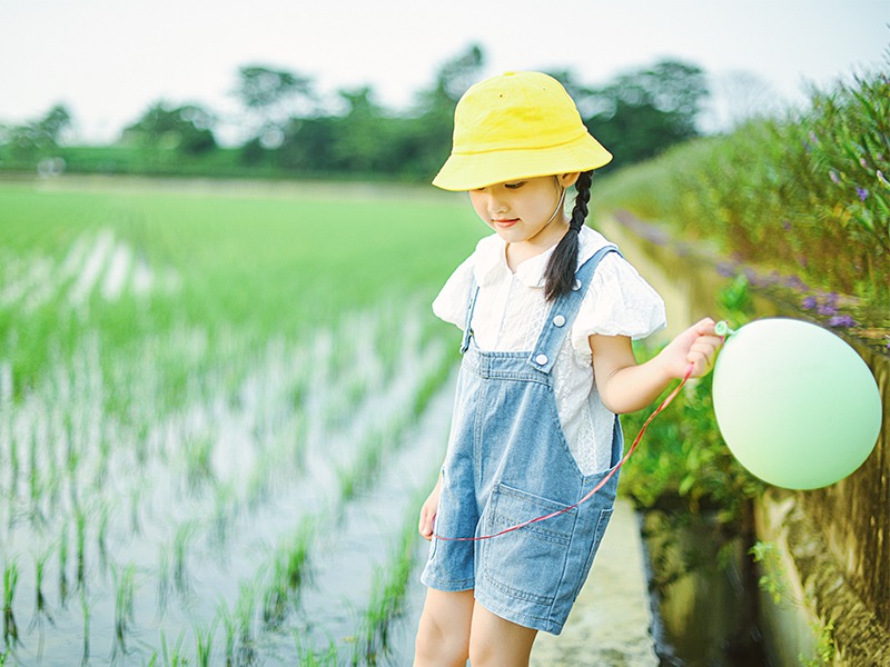 夏日稻田_简曦_Y2-站酷ZCOOL