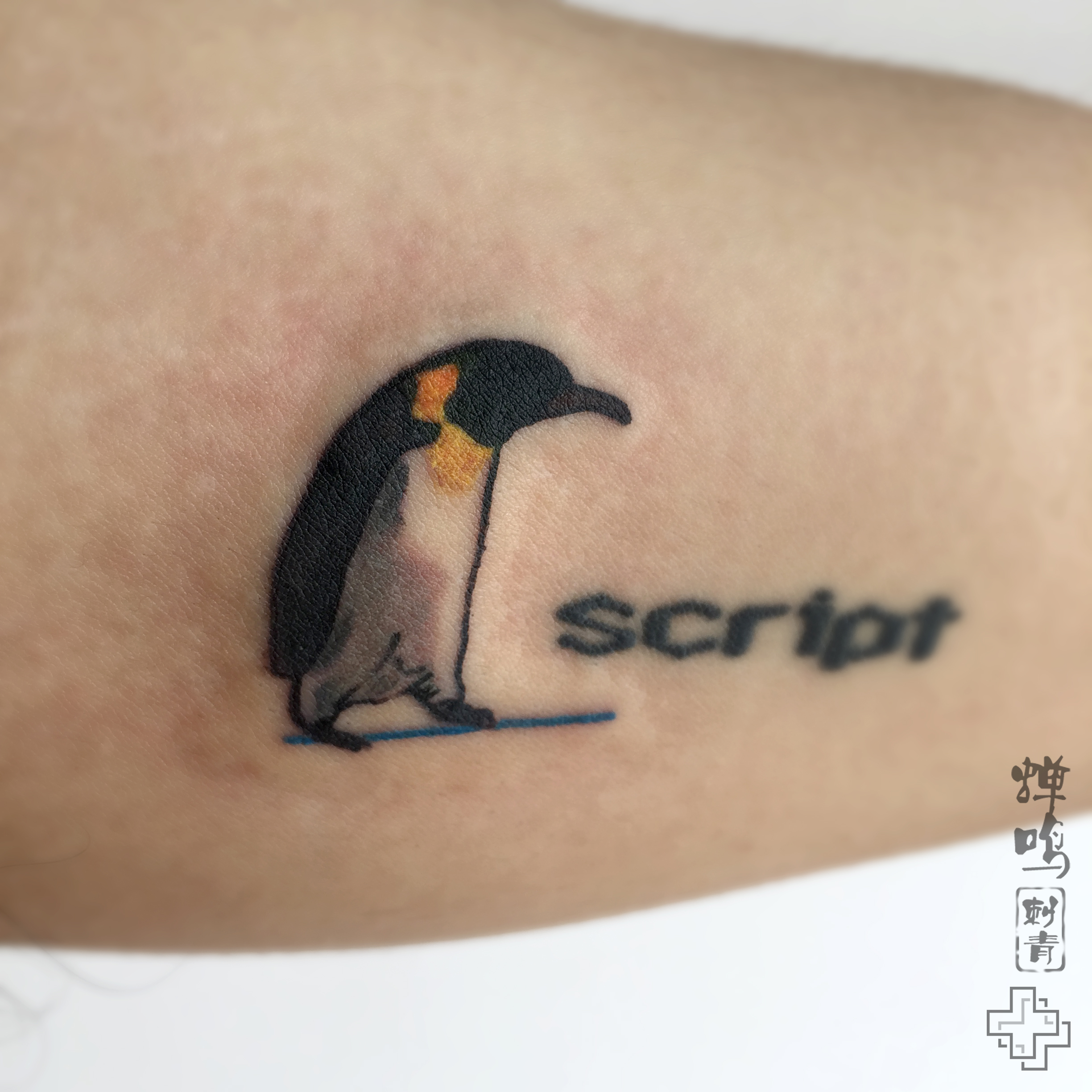 一组小清新_2nu7lg-站酷ZCOOL