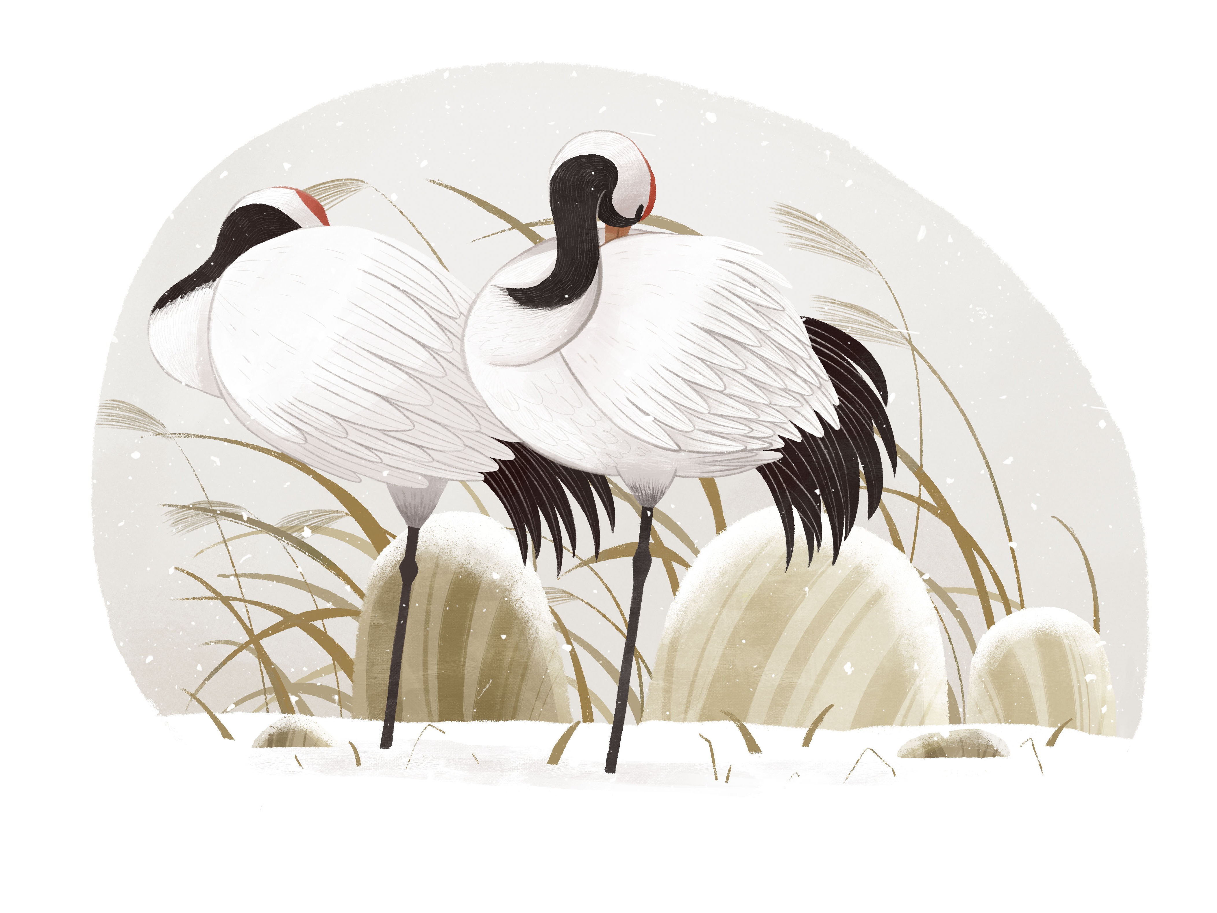 杂志小图_眉毛MEIMAO-站酷ZCOOL