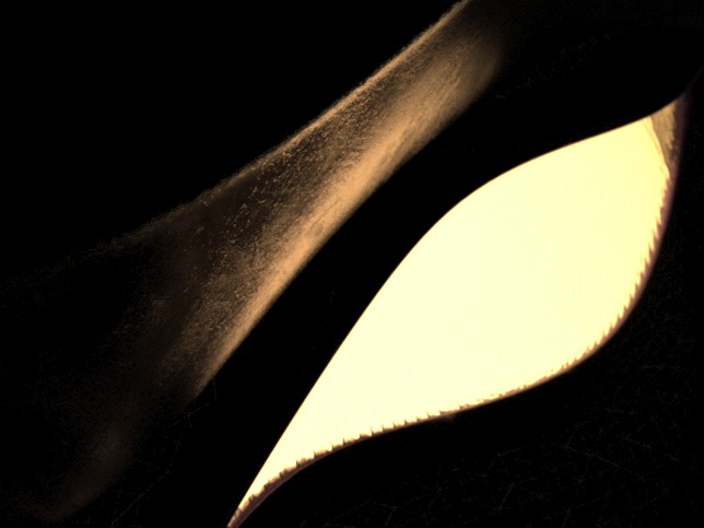 作品DEMO_FENG_ZAO-站酷ZCOOL