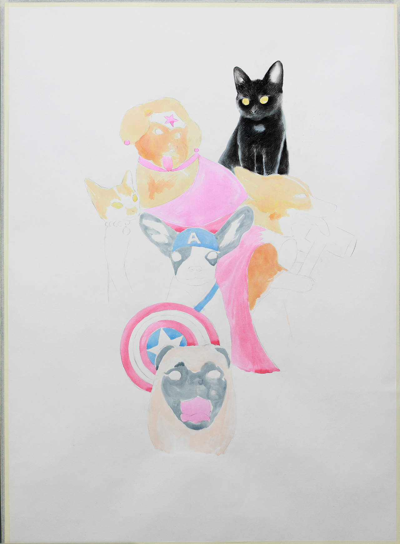 【宠物战士篇】——手绘彩铅_sunwoon-站酷ZCOOL