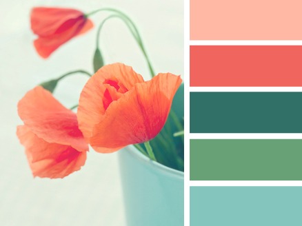 美丽的配色卡啊——02_Bona_Dai-站酷ZCOOL