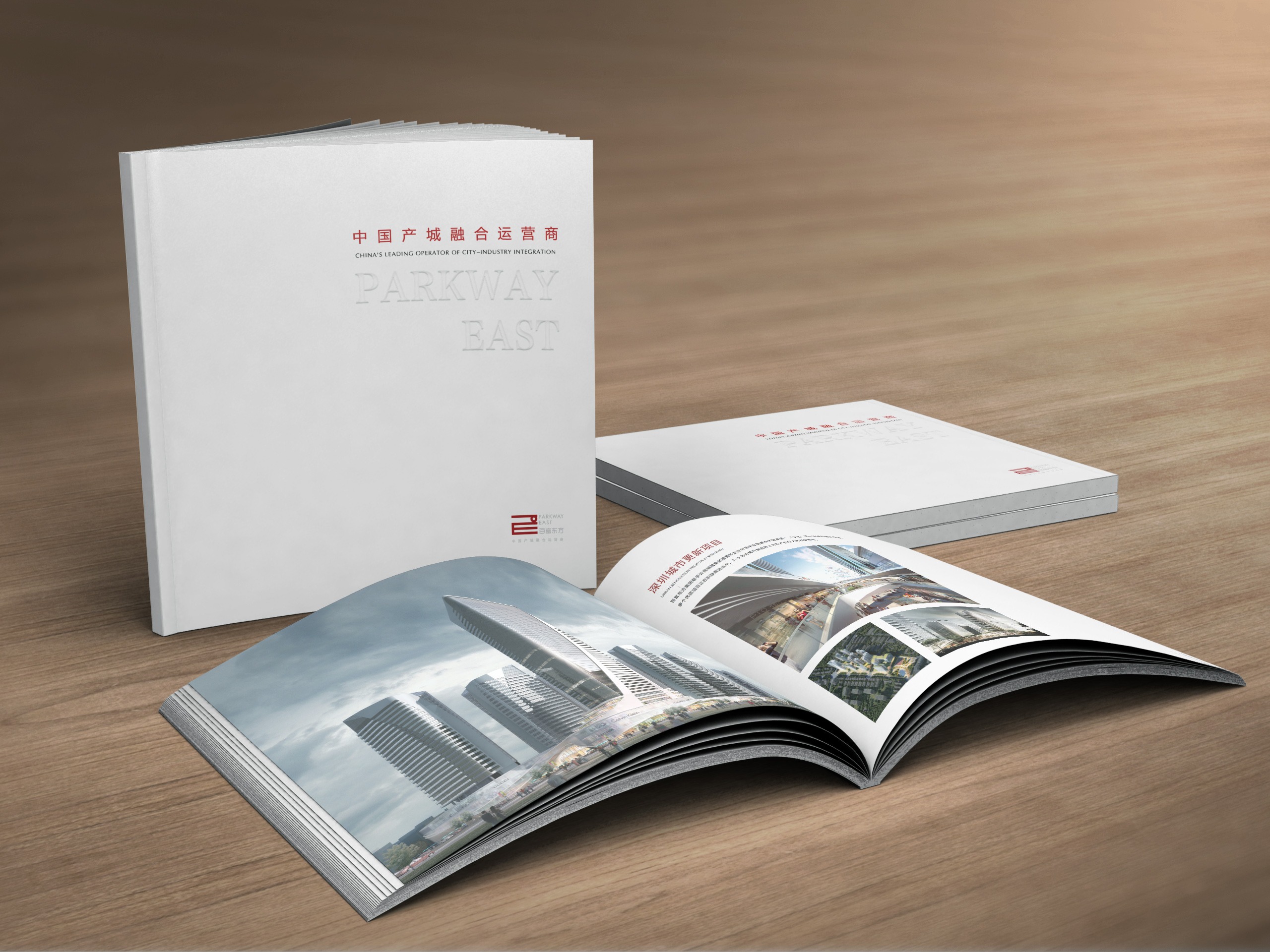 《中国产城融合运营商——百富东方宣传册》_乙未文化-站酷ZCOOL