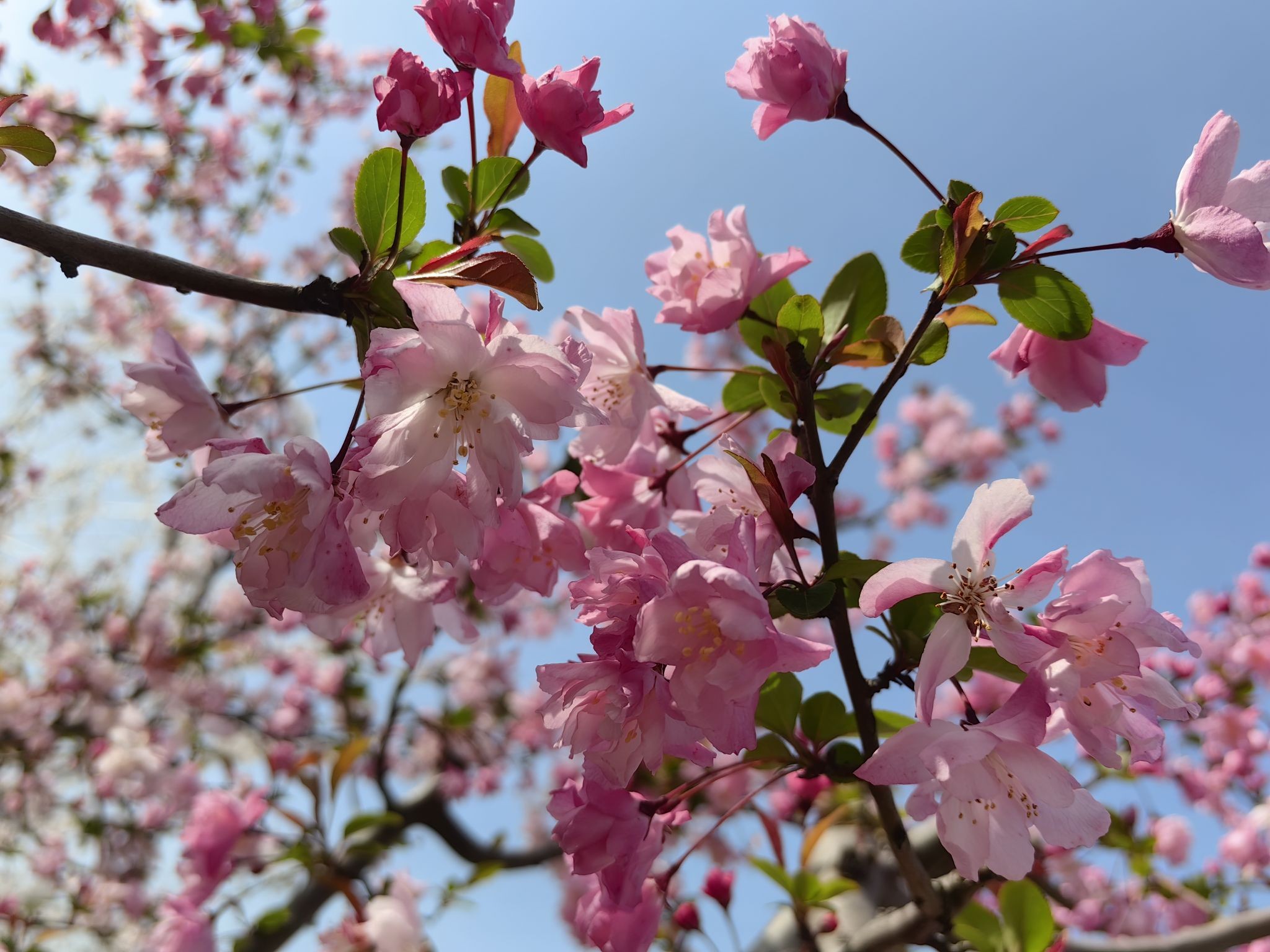 每一帧都是独一无二_Fairy_Z-站酷ZCOOL