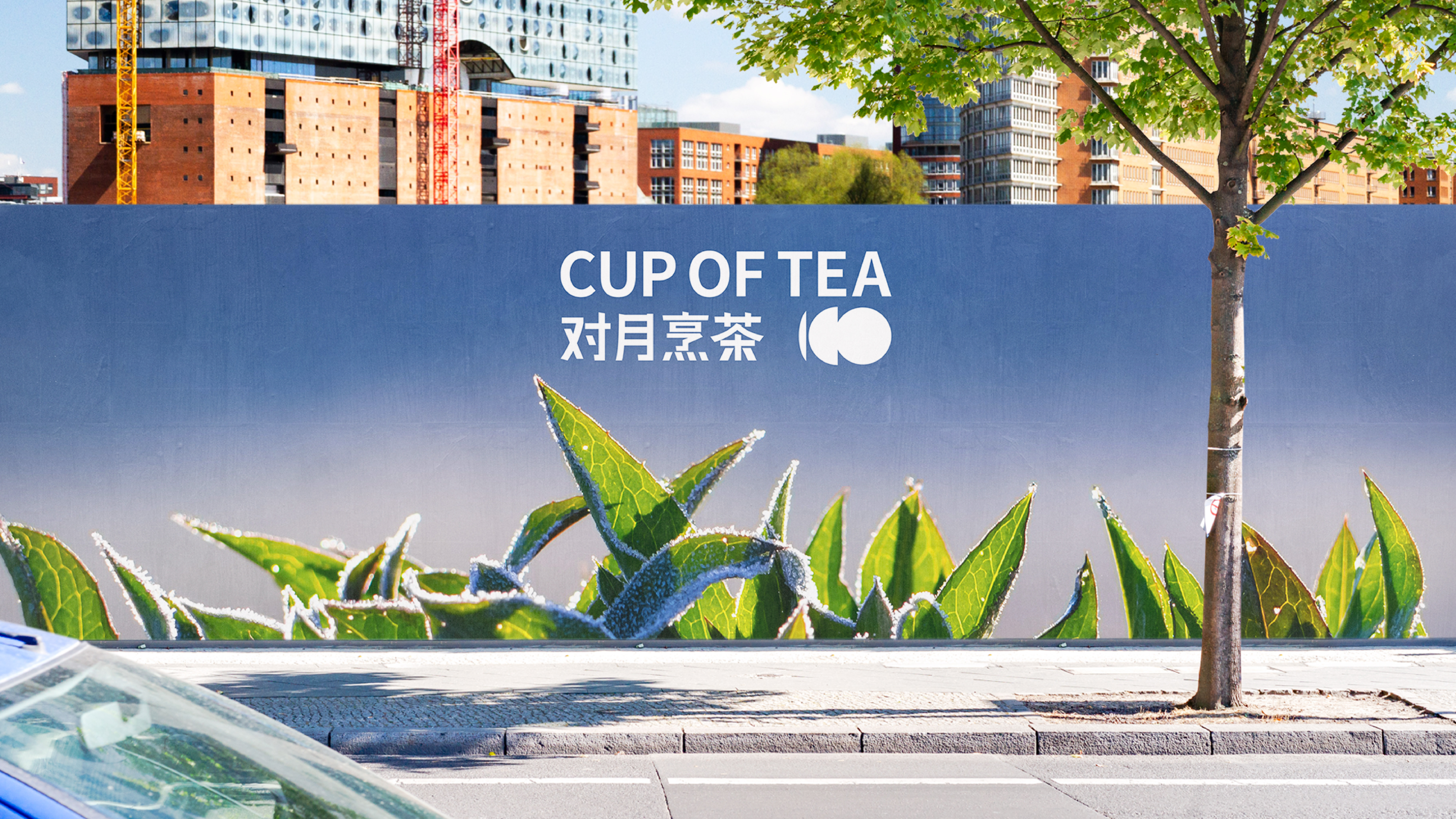 对月烹茶包装设计_Studio_dot-站酷ZCOOL