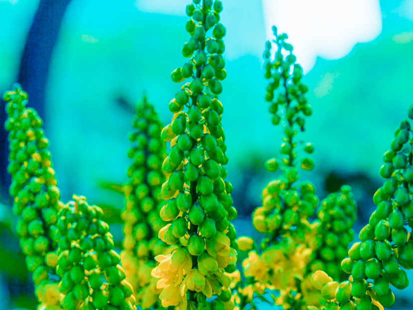 春 煦_leever灵境-站酷ZCOOL