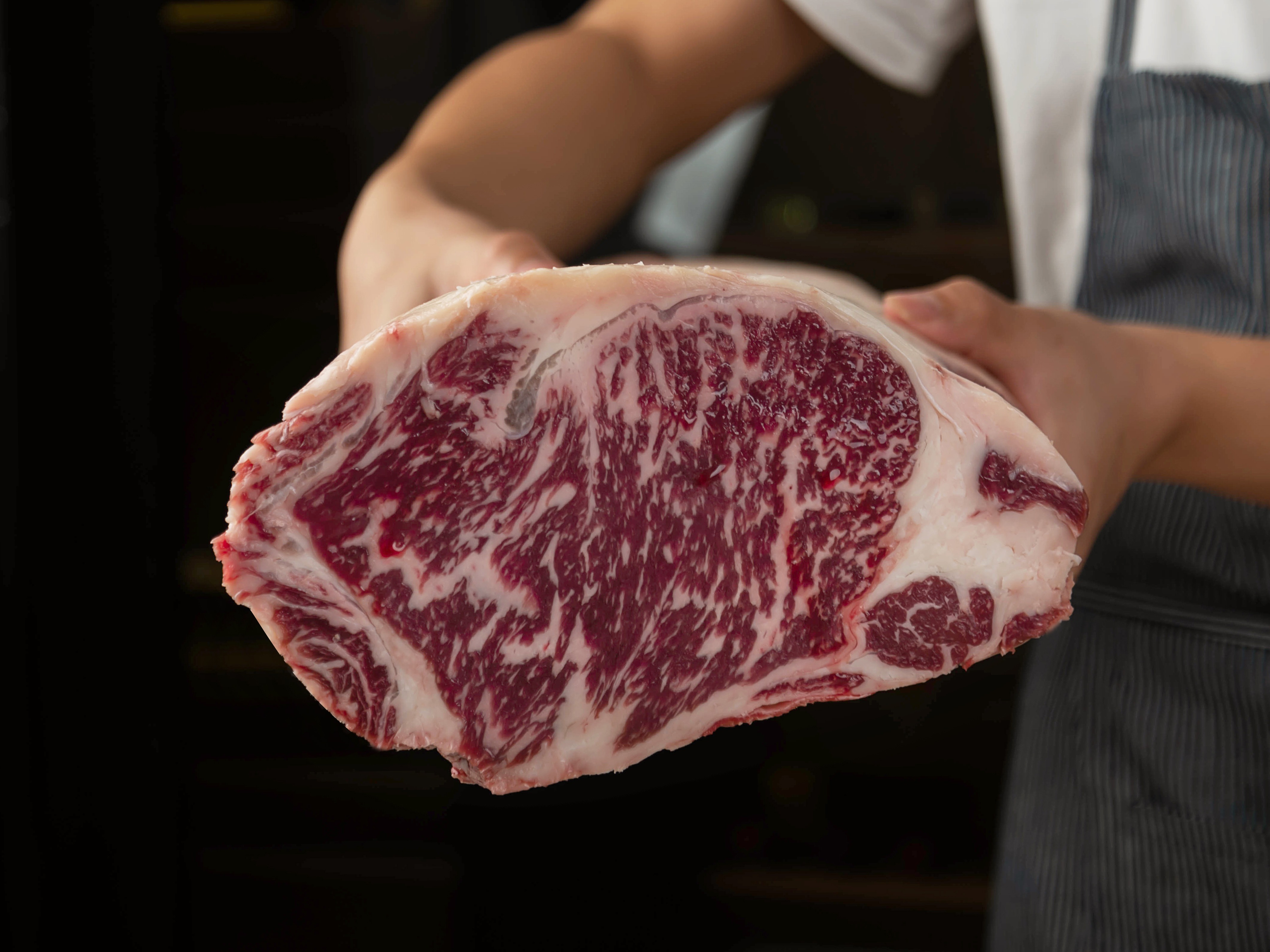 M9、M5和牛拍摄_KevinMok-站酷ZCOOL