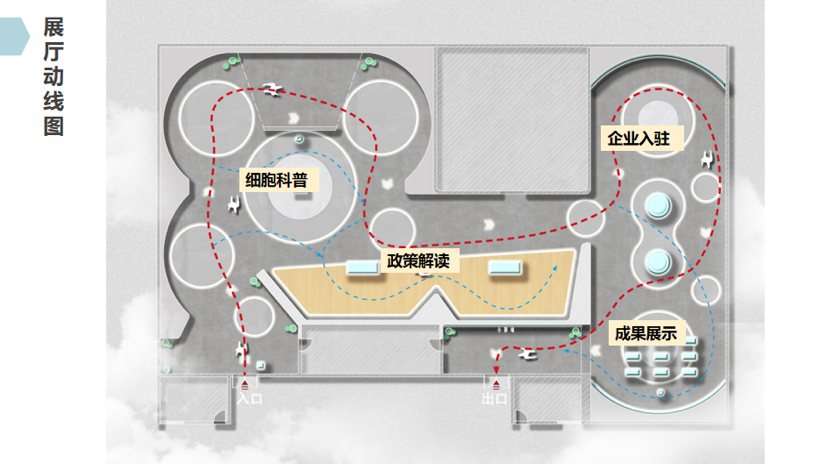 2023细胞中心展厅升级改造概念方案-29P_精英策划圈-站酷ZCOOL