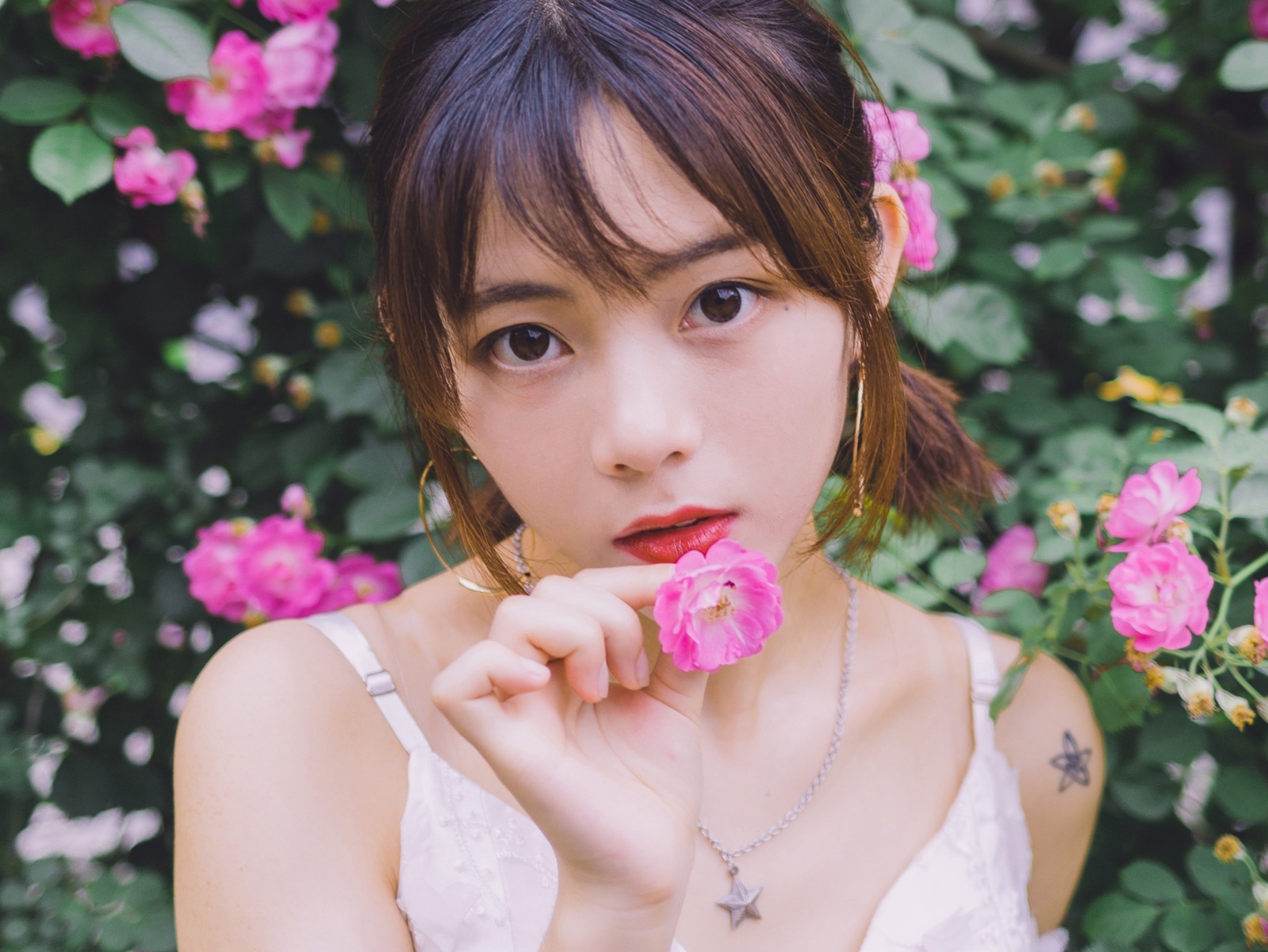 蔷薇花又开_潇大大Harry-站酷ZCOOL