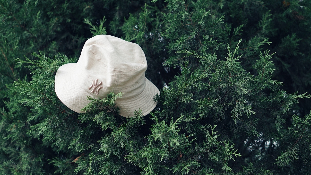 无忧_Leah工作室-站酷ZCOOL