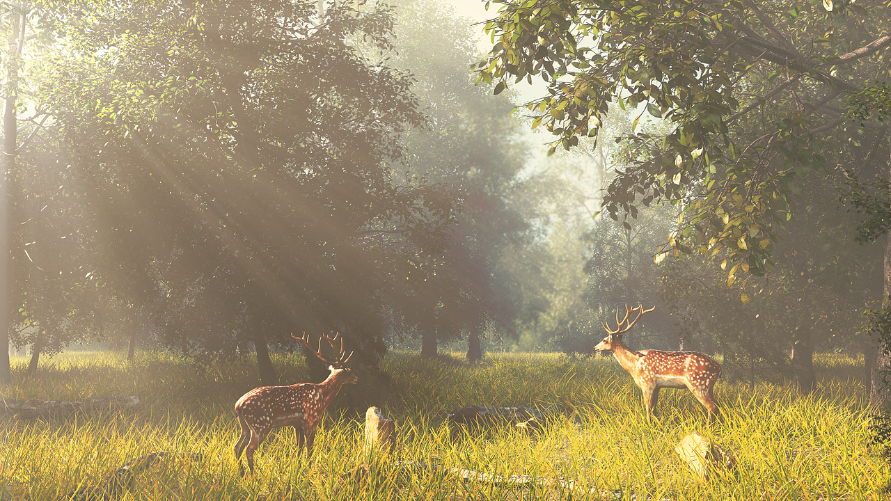 C4D_苏澈Y-站酷ZCOOL