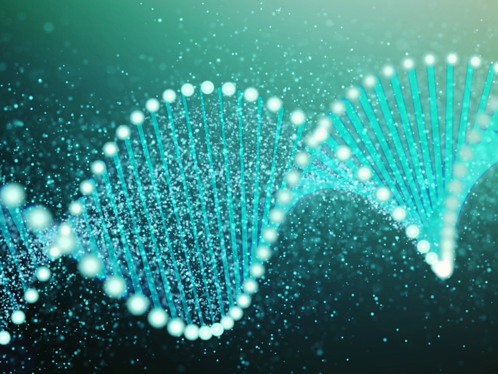 DNA练习_秋日和-站酷ZCOOL