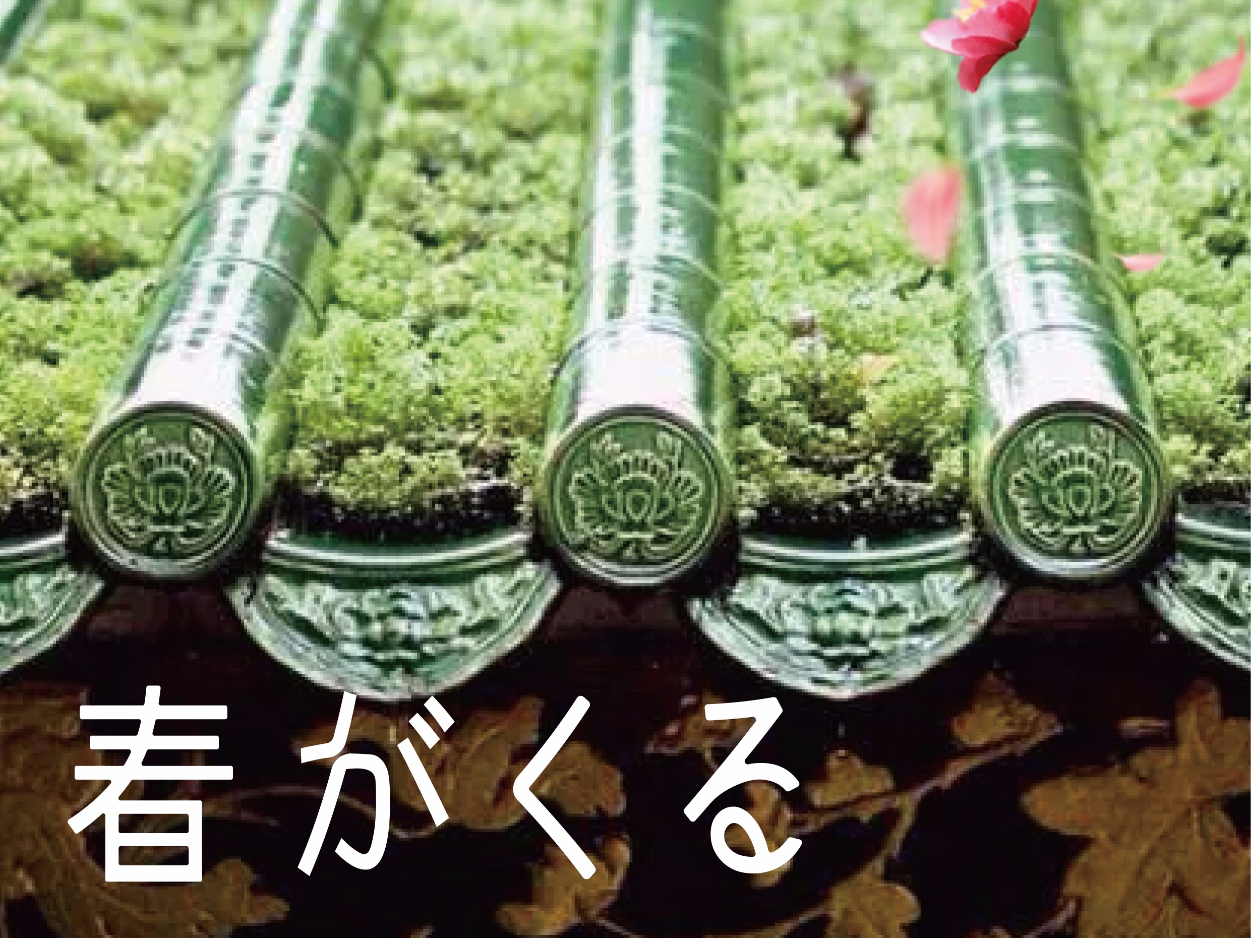 《红尘之光》- 学习中进步_M_Bo-站酷ZCOOL