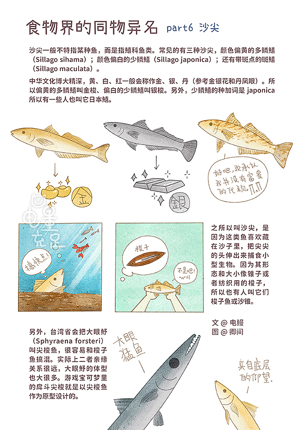 食物界的同物异名小百科第二弹_陈大壮菌-站酷ZCOOL