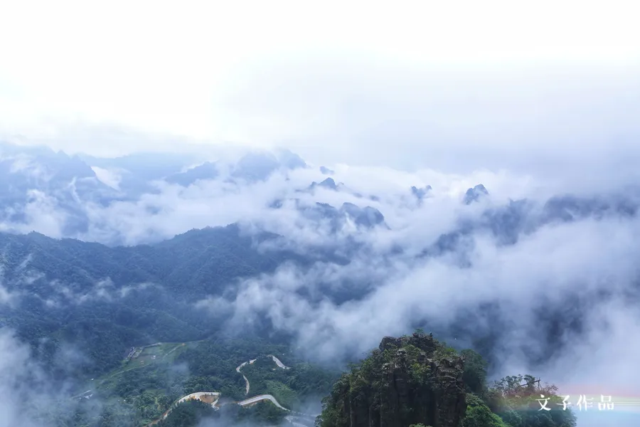 图片搜索 - 站酷（ZCOOL）