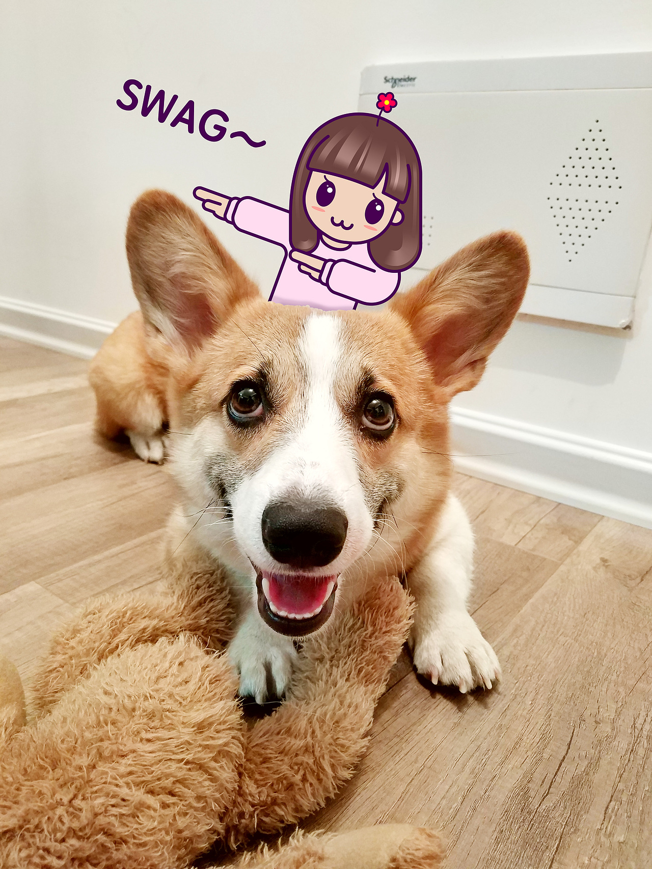 Swag_设计师小杜-站酷ZCOOL