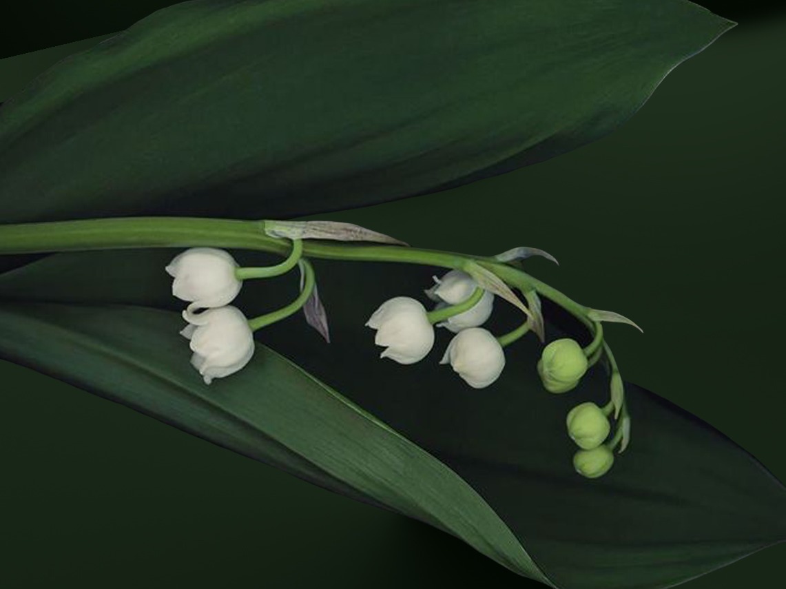 PS.two_ya星子-站酷ZCOOL