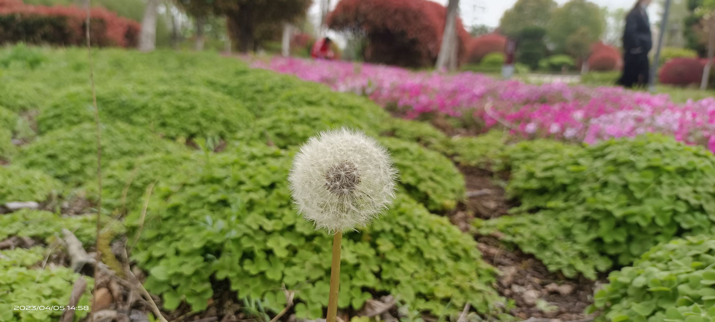 误入歧途_Z325310295-站酷ZCOOL