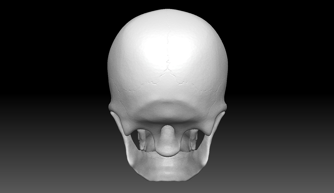 ZBrush骷髅头_平方人生-站酷ZCOOL