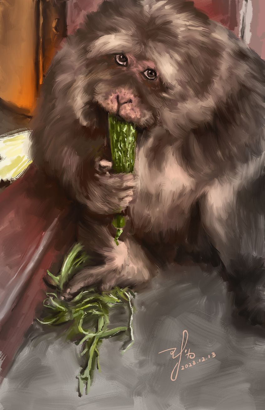 独臂猴星星吃黄瓜_大为1980-站酷ZCOOL