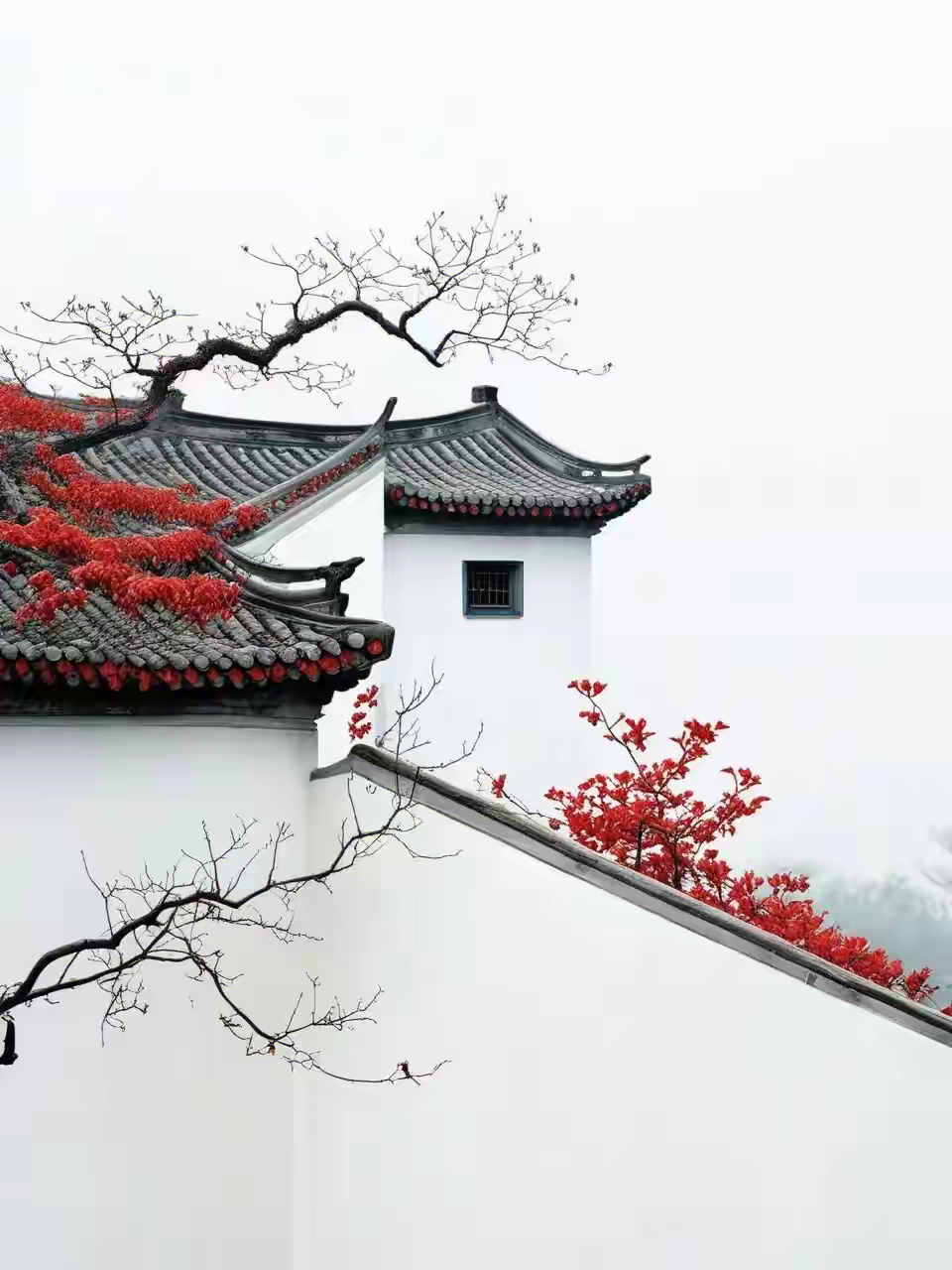 一角飞檐，几朵梅花。凌寒独自开，未有暗香来。美的朴_一小迷糊一-站酷ZCOOL