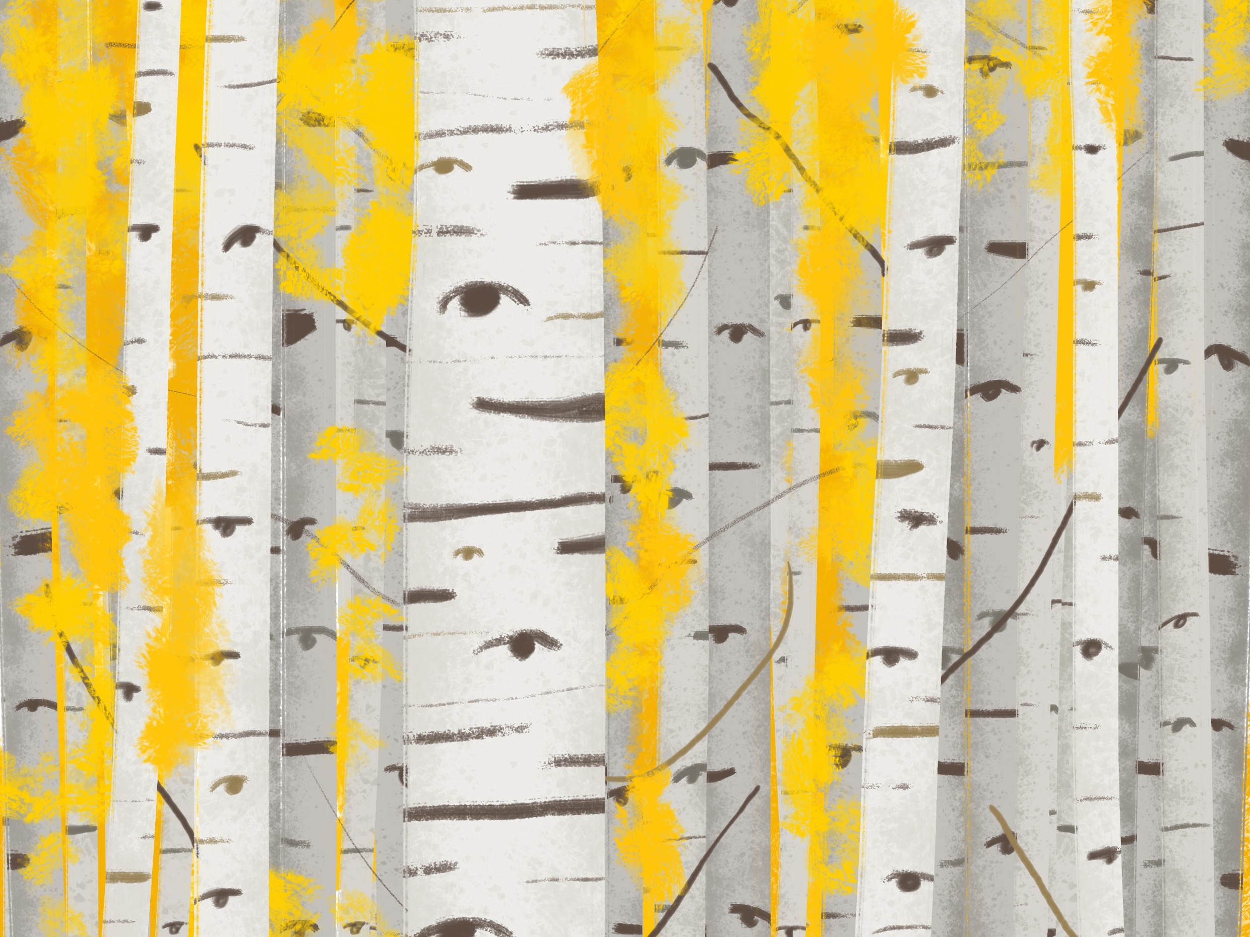 白桦林_Mia_JY-站酷ZCOOL