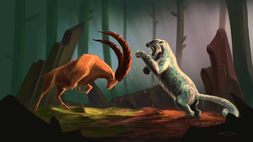 决斗_Abak-站酷ZCOOL