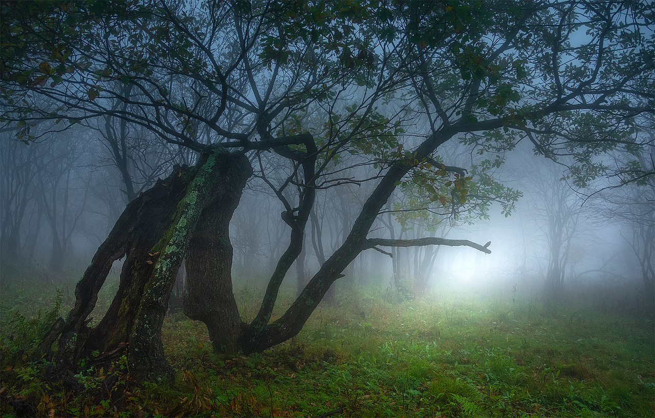 senlin|Photography|Landscape|xiaodupi_Original作品-站酷ZCOOL