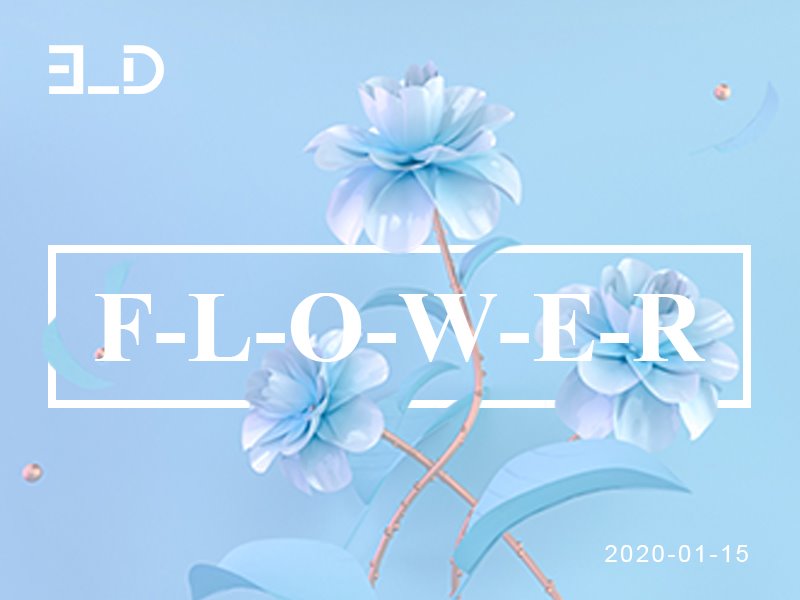 3_D_FLOWER_F_Kevin-站酷ZCOOL