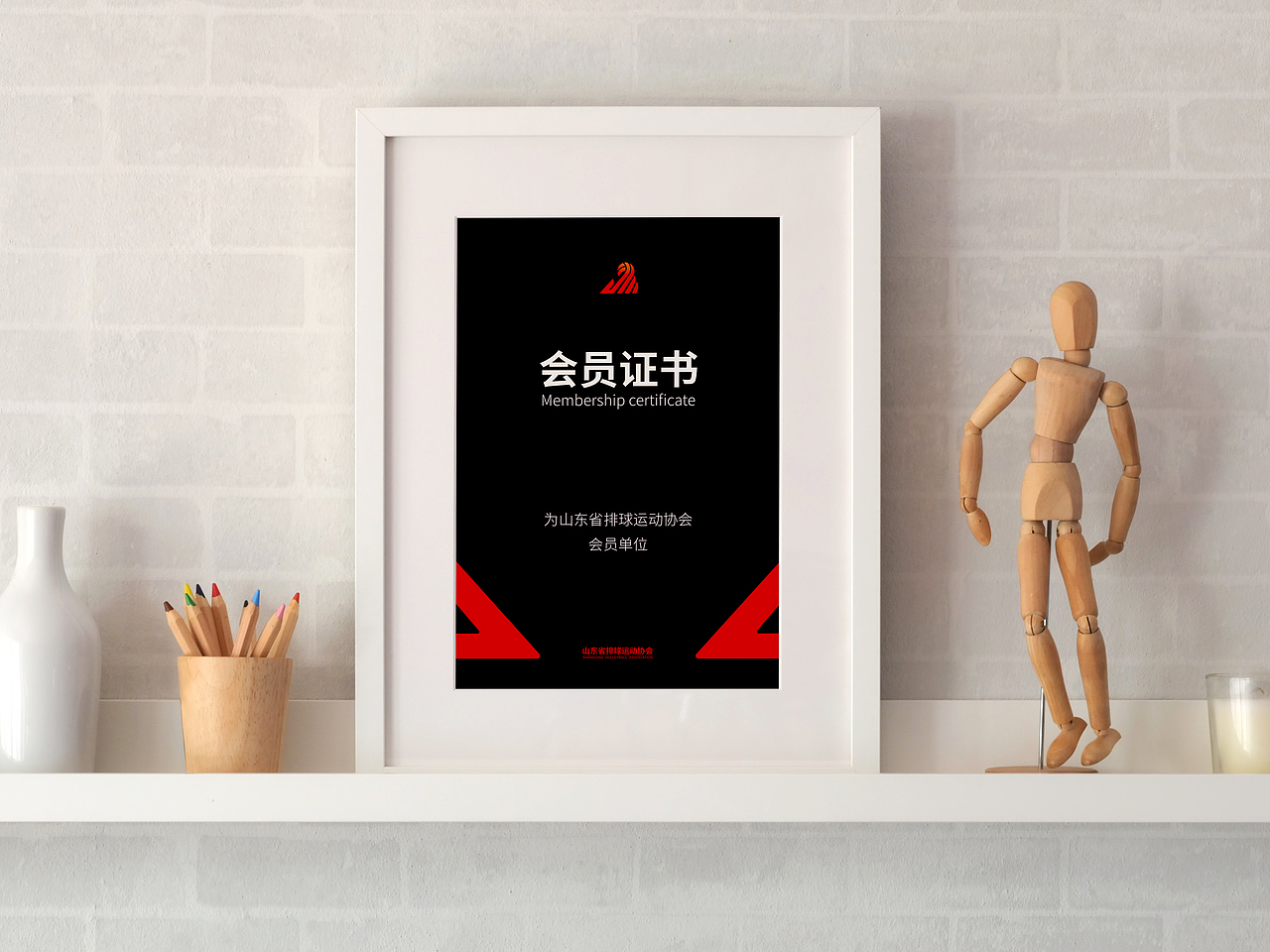 SDVA 排球运动协会视觉识别设计|平面|品牌|Wegnehmen_原创作品-站酷ZCOOL