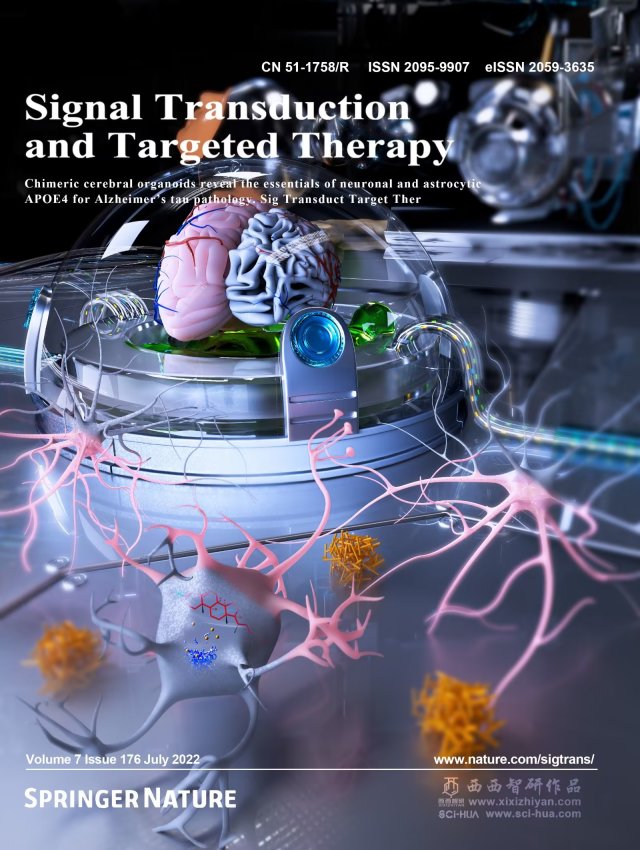 Signal Transduction and Targeted Therapy期刊封面图_scihua-站酷ZCOOL