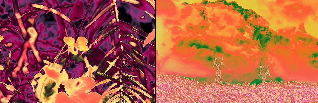 陌生世界|Unfamiliar World_王金煊-站酷ZCOOL