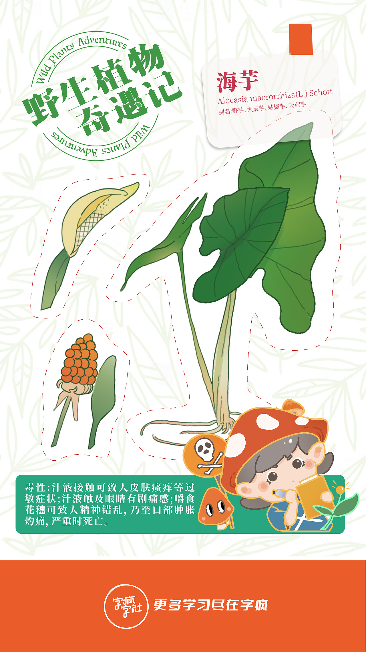 字体版式设计｜野生植物奇遇记_三杰桑wyz-站酷ZCOOL