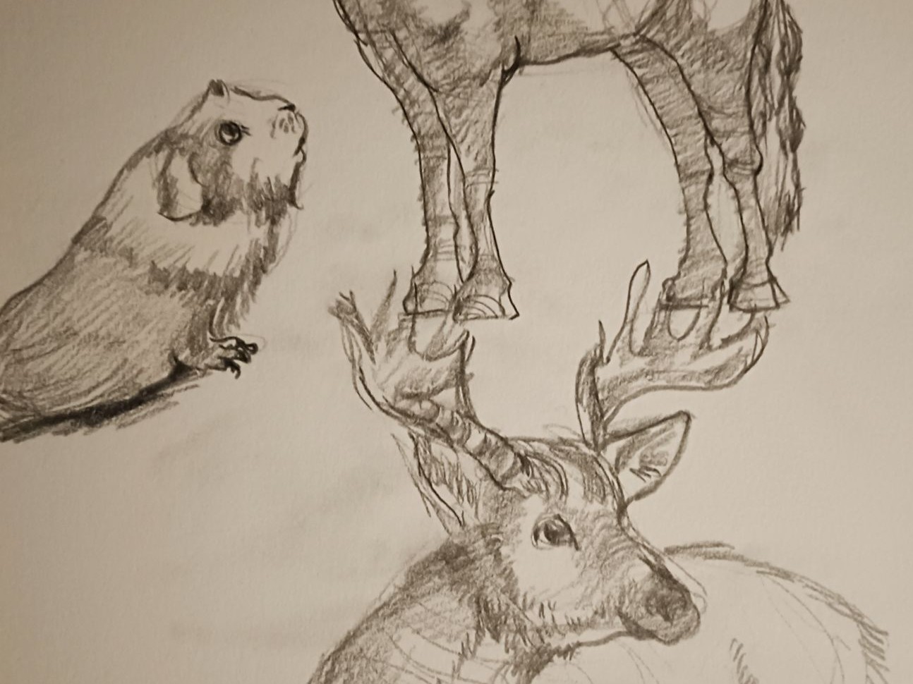 速写033_jsuiz蓿-站酷ZCOOL