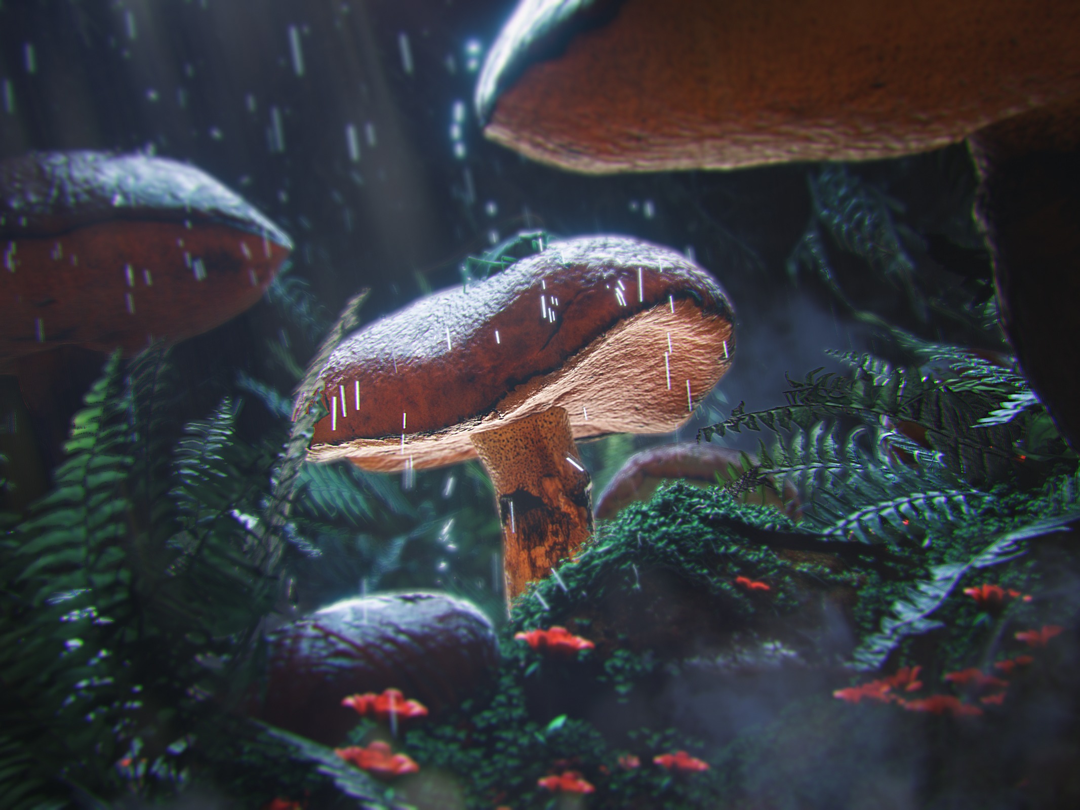 Mushroom（动画练习)_随心_所欲-站酷ZCOOL