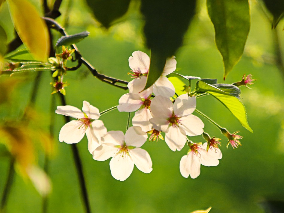 美好的春天啊_李OYE-站酷ZCOOL