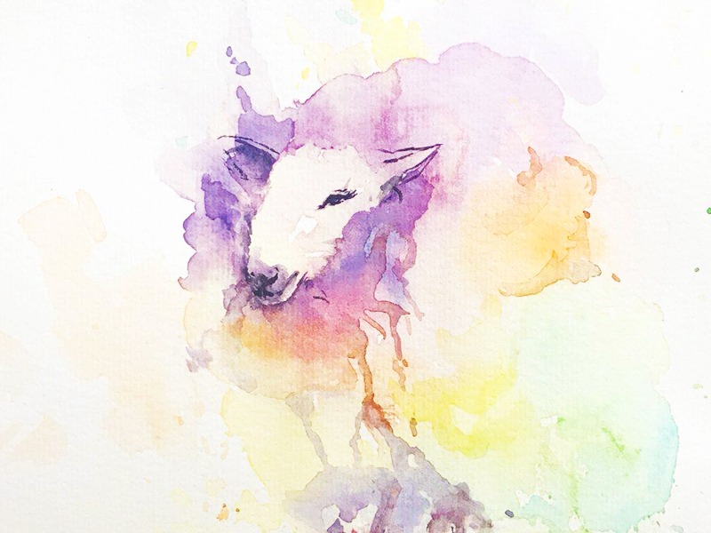 彩绵绵_喵星小步-站酷ZCOOL