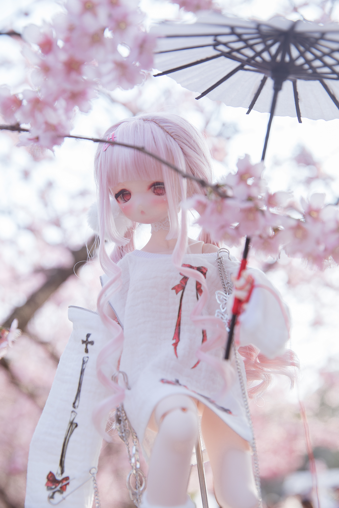 春樱 | bjd摄影_唐心_摄影修行中-站酷ZCOOL