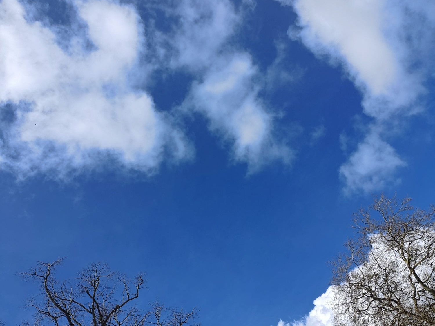 蓝_置南玄-站酷ZCOOL