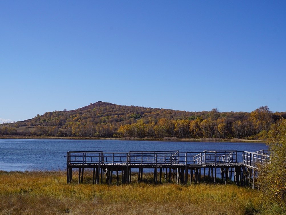 金秋乌兰布统草原-塞罕坝林场_花子flora-站酷ZCOOL