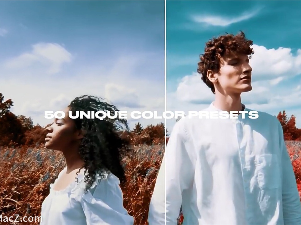 100种欧美婚礼调色LUTs预设Colorify Wedding LUTs_柠檬吥萌-站酷ZCOOL