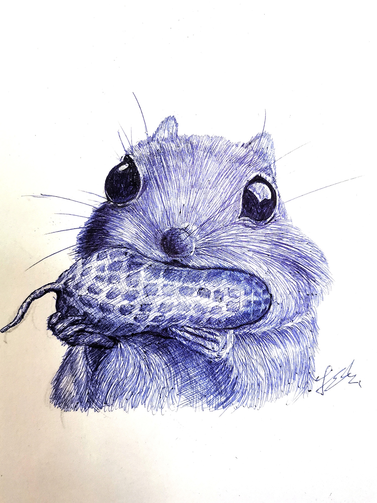 圆珠笔_夏羊-站酷ZCOOL