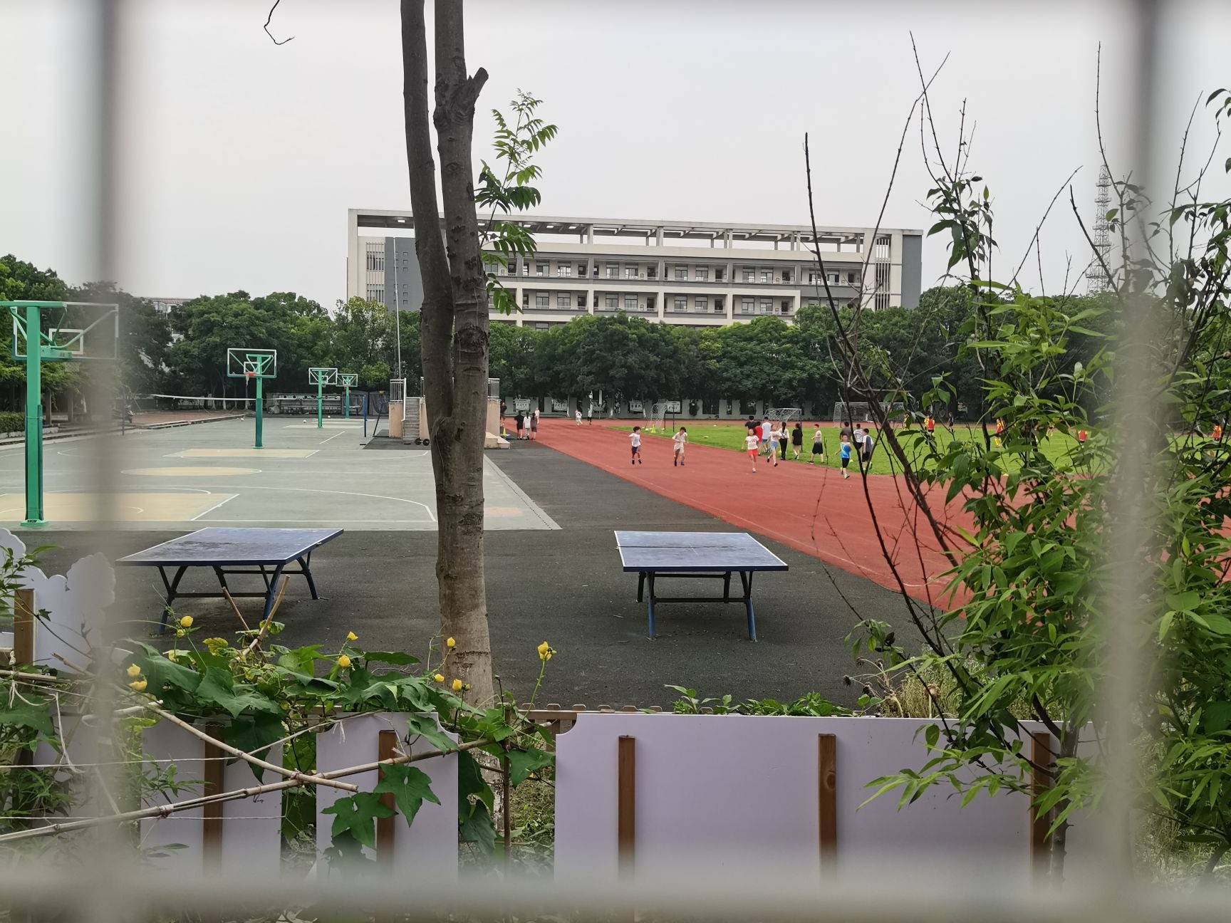 发现美_Nancy园子-站酷ZCOOL