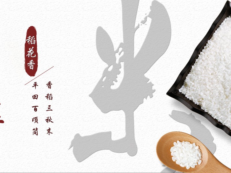 大米banner_ONTHEWAY_-站酷ZCOOL